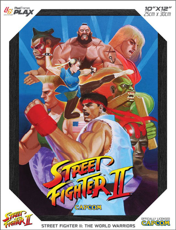 Street Fighter II: The World Warriors Pixel Frame Plax| Microplay Newmarket